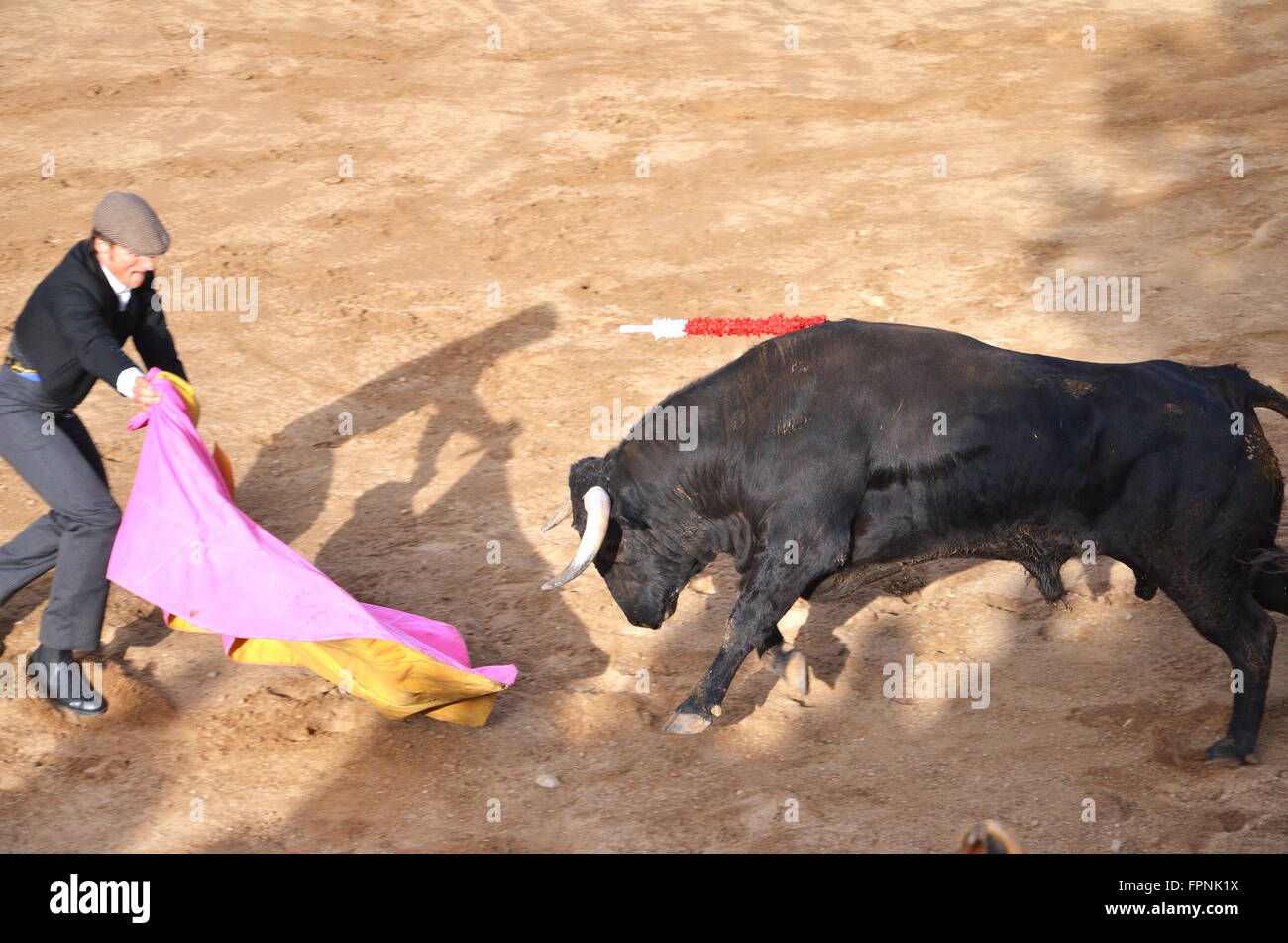 Toreador during corrida show in Fontanar, Spain Stock Photo - Alamy