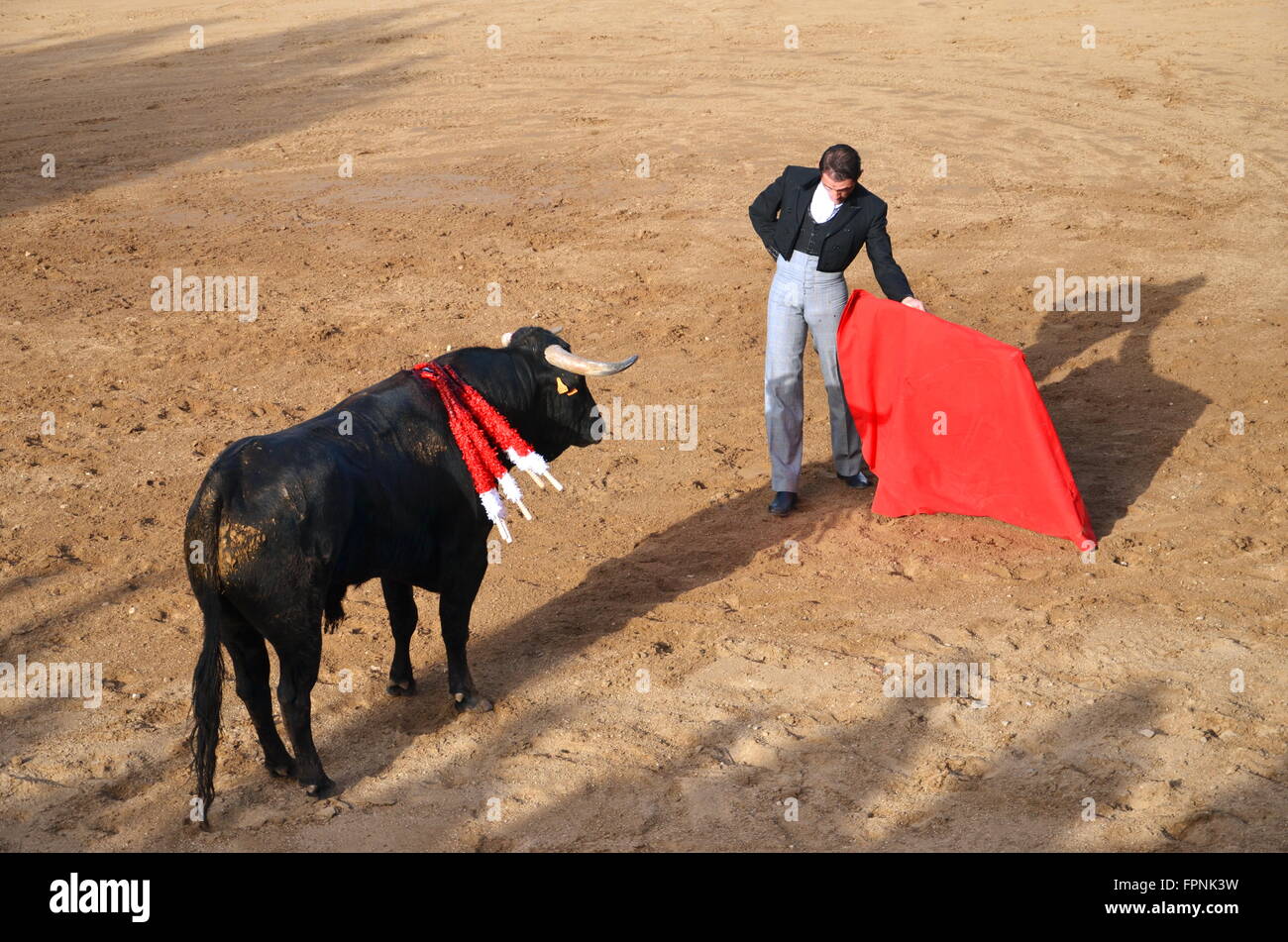 Toreador during corrida show in Fontanar, Spain Stock Photo - Alamy