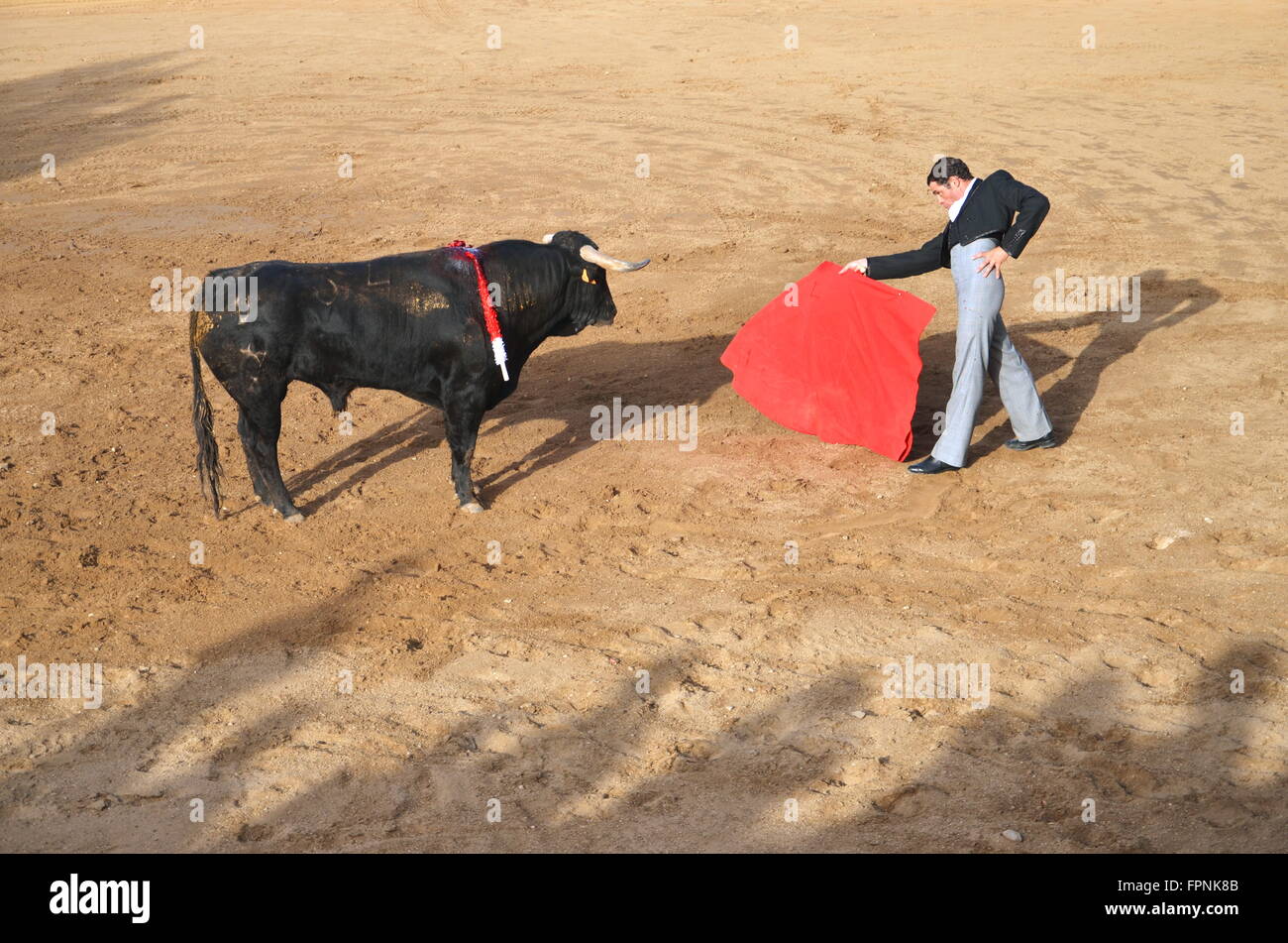 Toreador during corrida show in Fontanar, Spain Stock Photo - Alamy