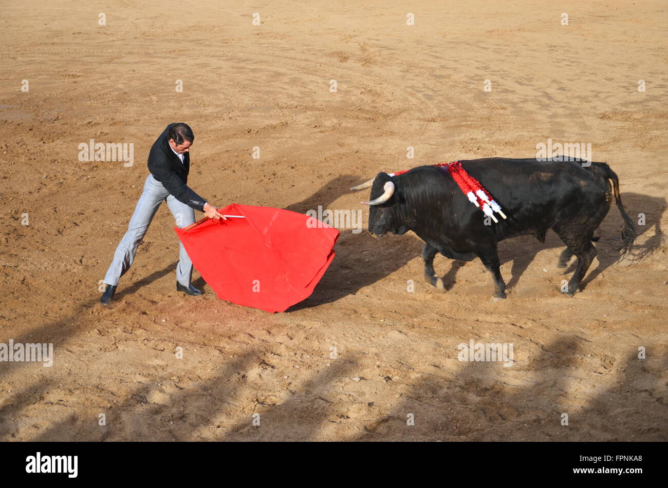 Toreador during corrida show in Fontanar, Spain Stock Photo - Alamy