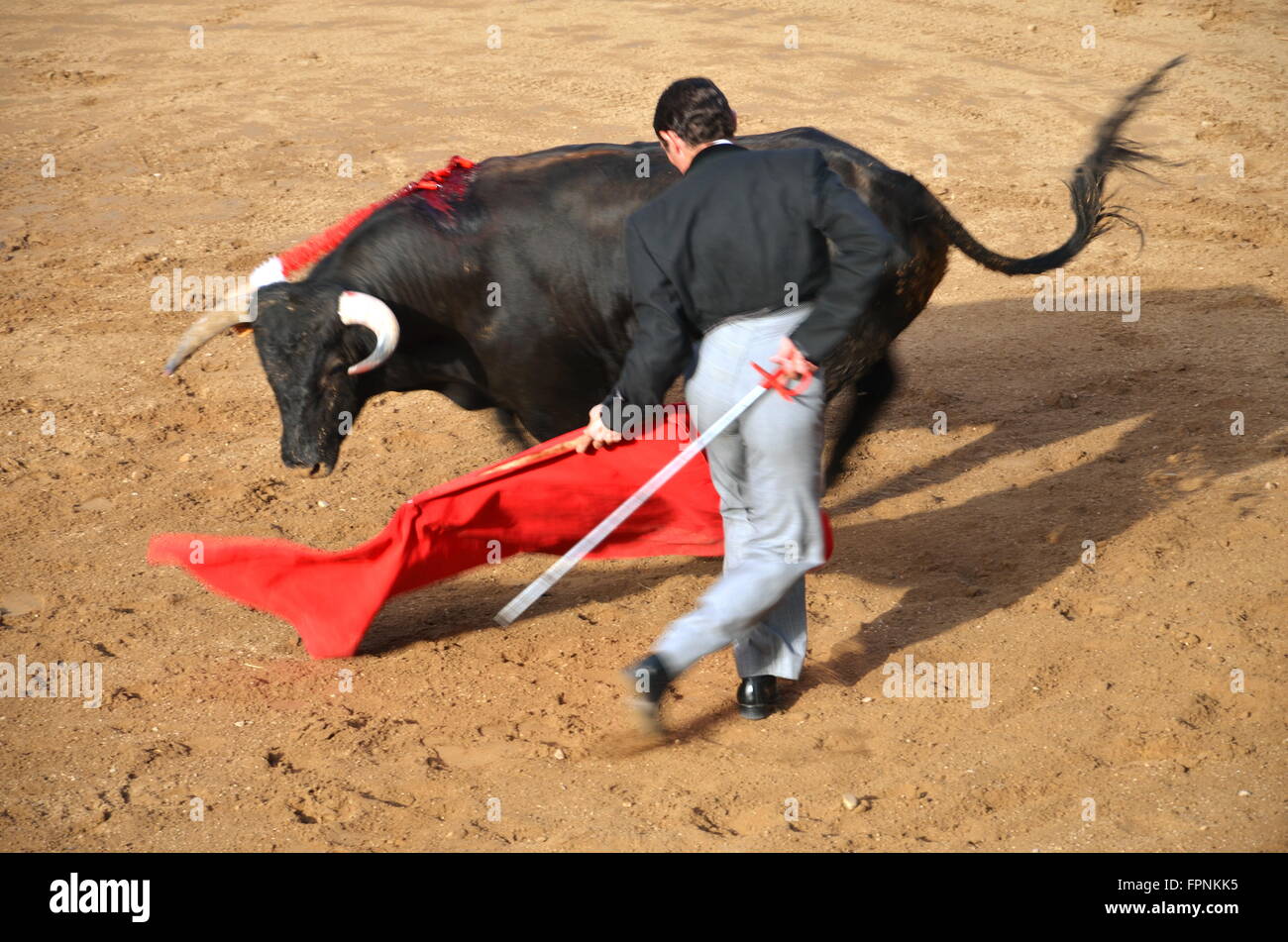 Toreador during corrida show in Fontanar, Spain Stock Photo - Alamy