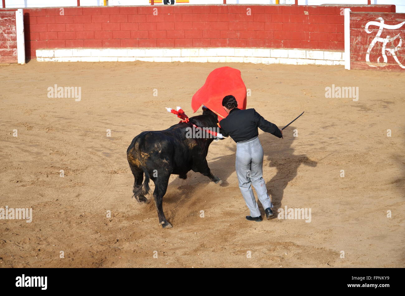 Toreador during corrida show in Fontanar, Spain Stock Photo - Alamy
