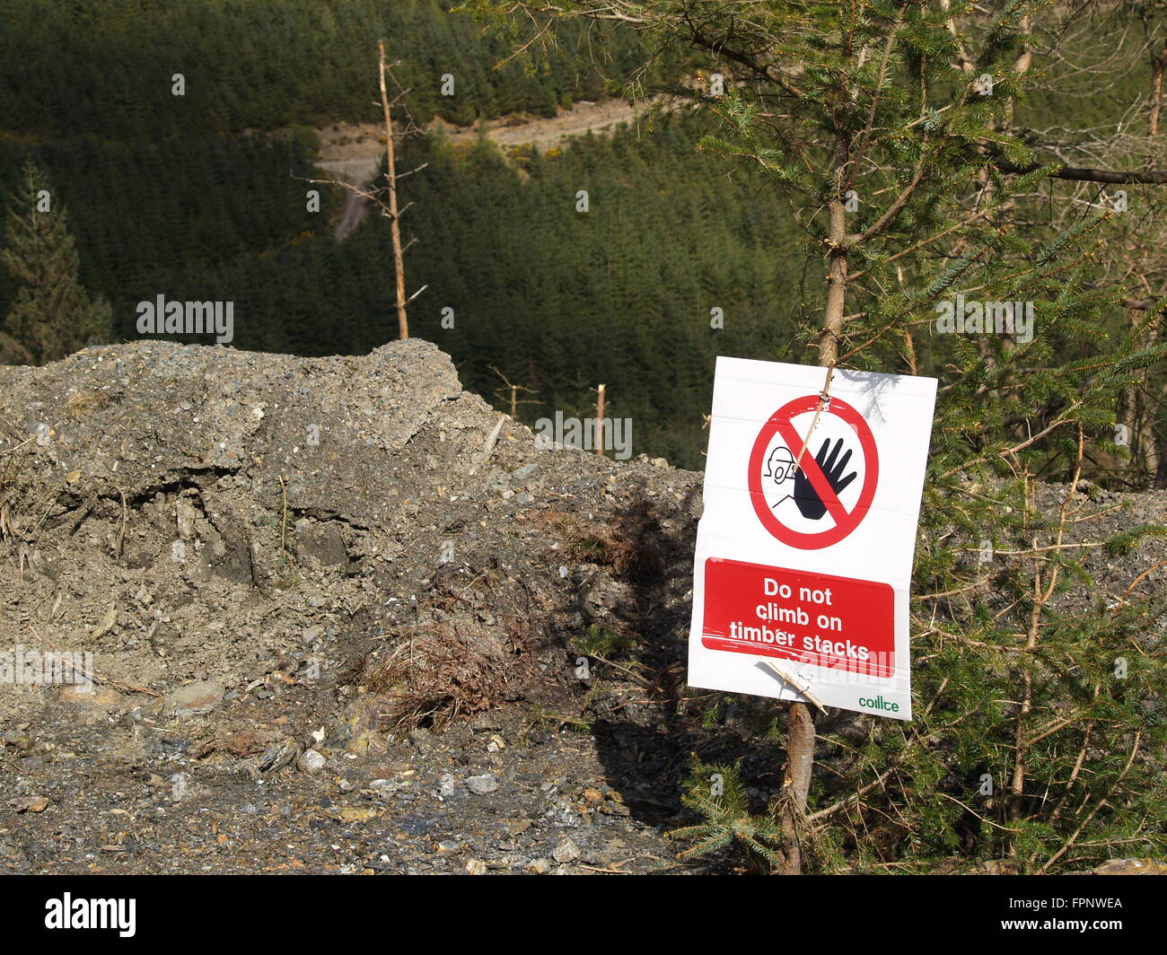A warning sign within a pine tree coniferous plantation warning against ...