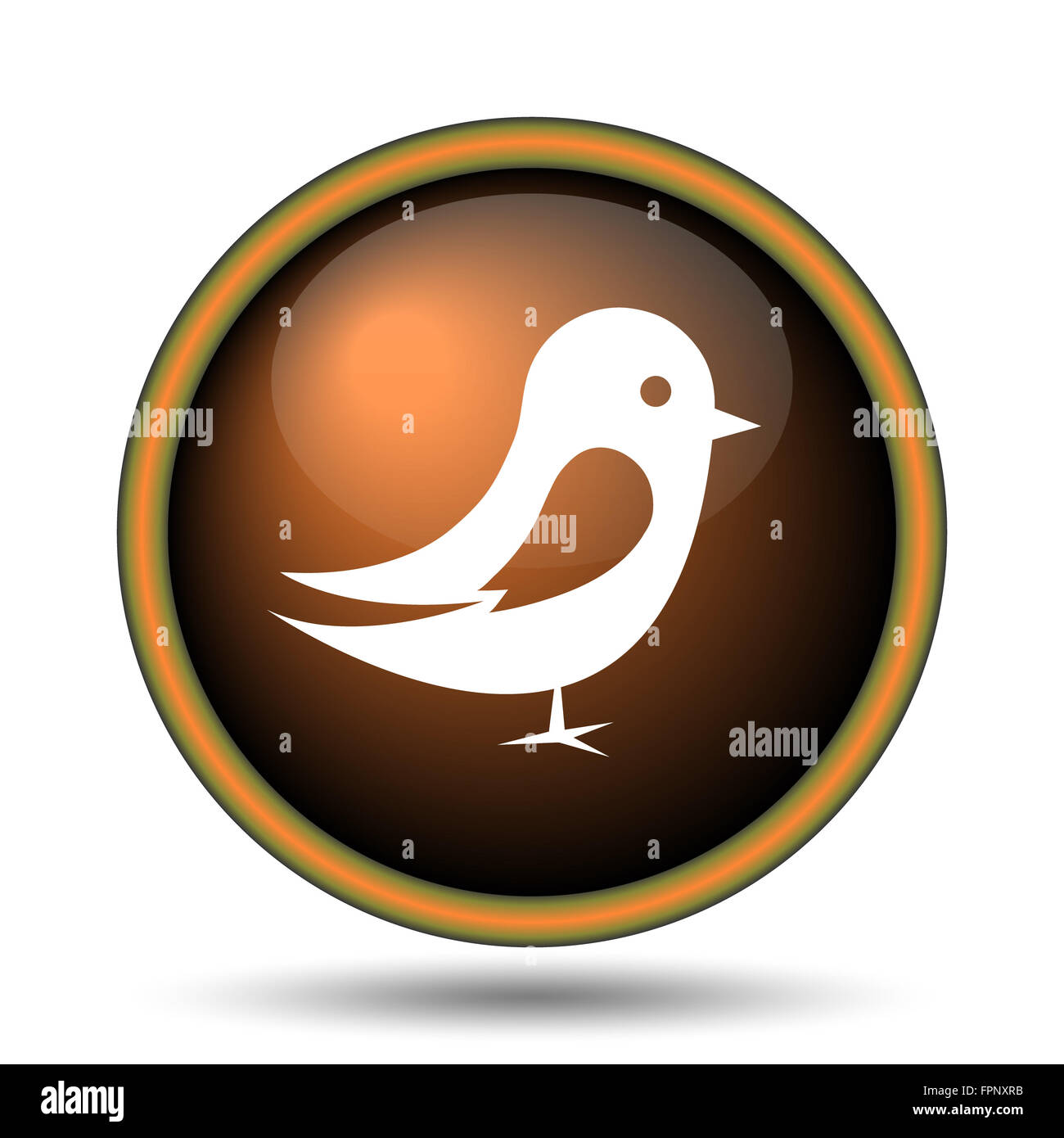 Bird icon. Internet button on white background Stock Photo - Alamy