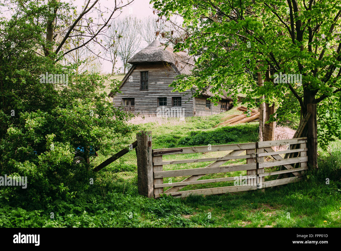 Sheep shed hi-res stock photography and images - Alamy