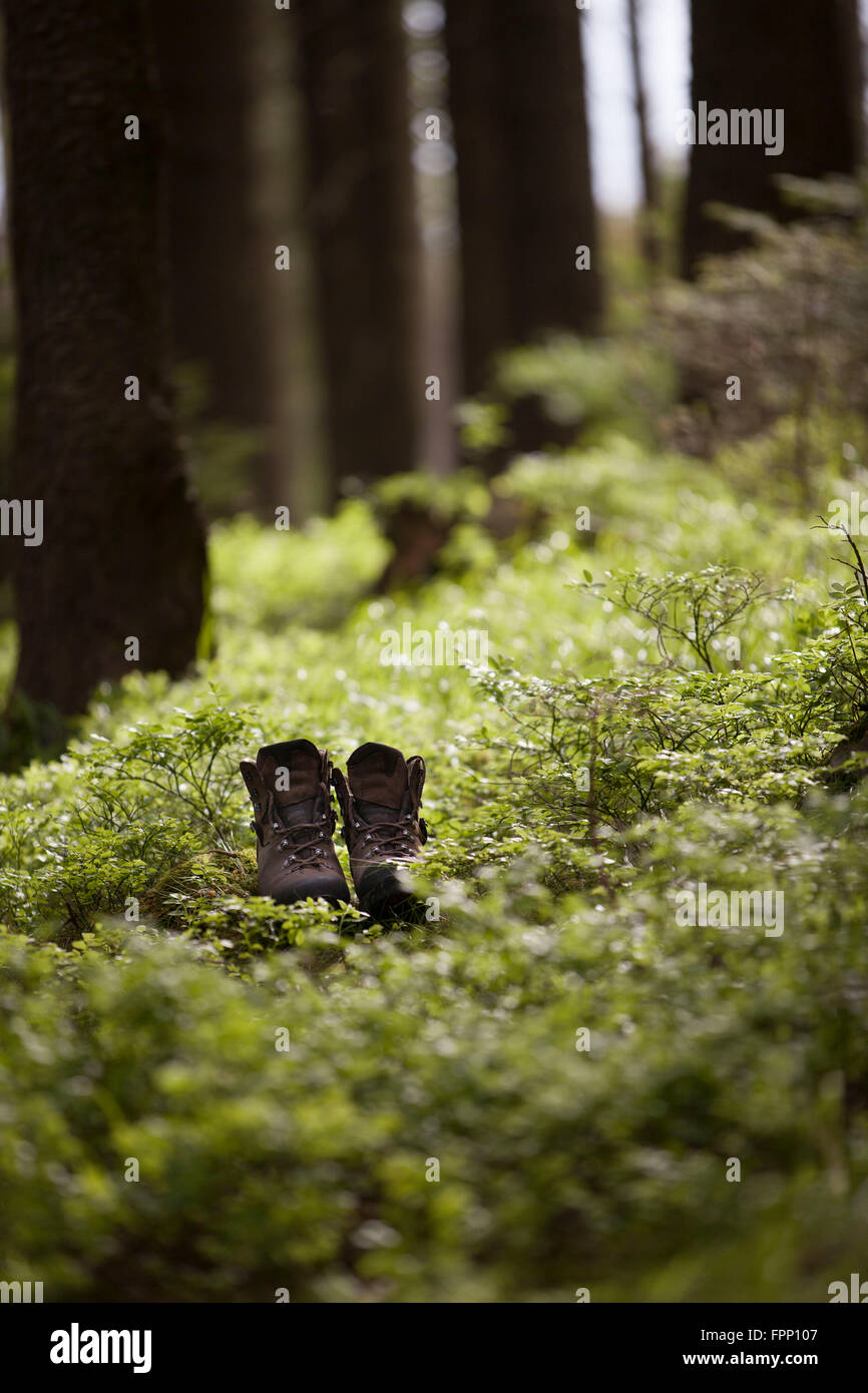 Hiking boots on tree stump Stock Photo - Alamy