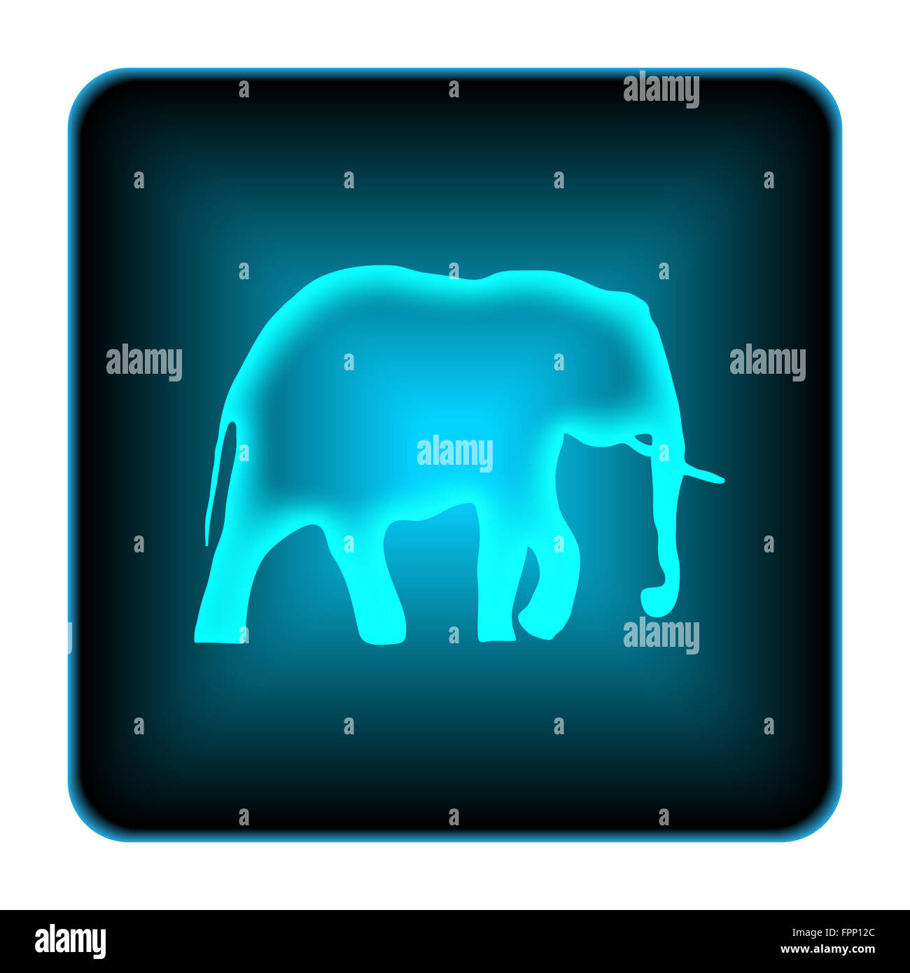 Elephant icon. Internet button on white background Stock Photo - Alamy
