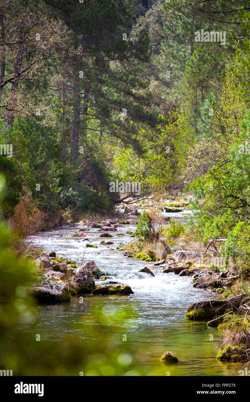 PARQUE NATURAL SIERRAS DE CAZORLA, SEGURA Y LAS VILLAS National Park in ...