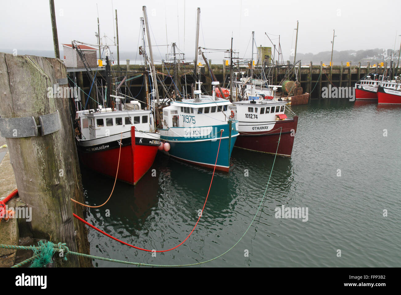 Digby canada scallop hi-res stock photography and images - Alamy