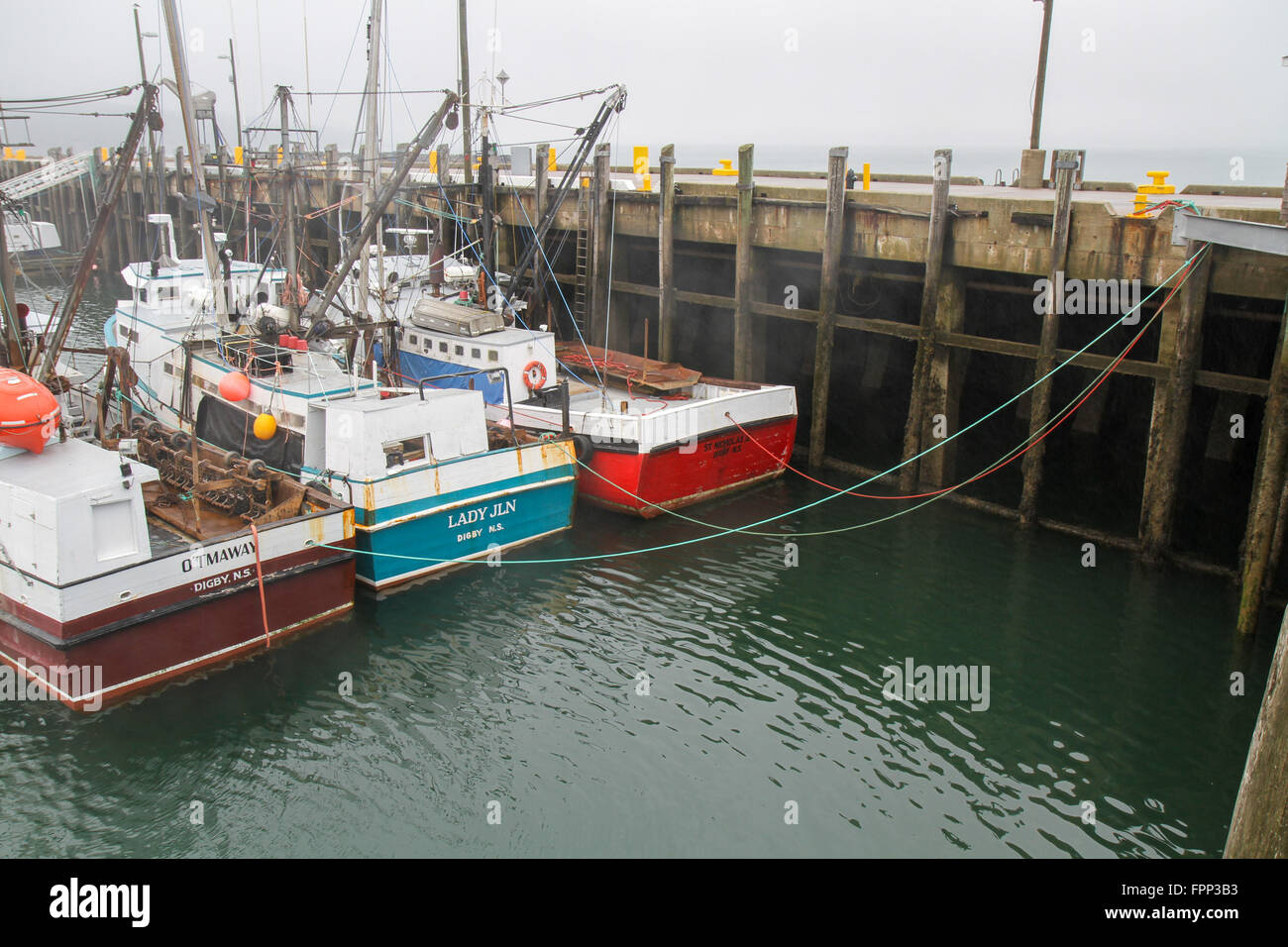 Fishing Boats (Scallop Fleet) at the Wharf in Digby, Nova Scotia Stock ...