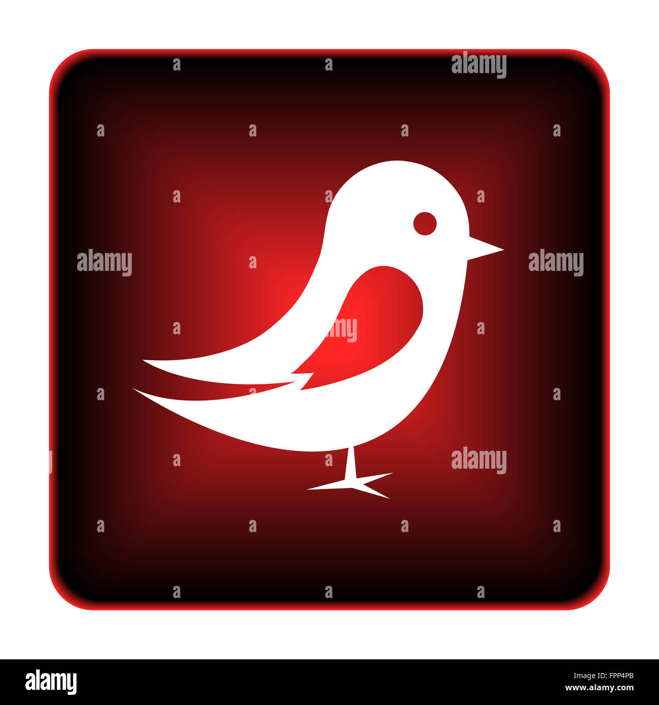 Bird icon. Internet button on white background Stock Photo - Alamy