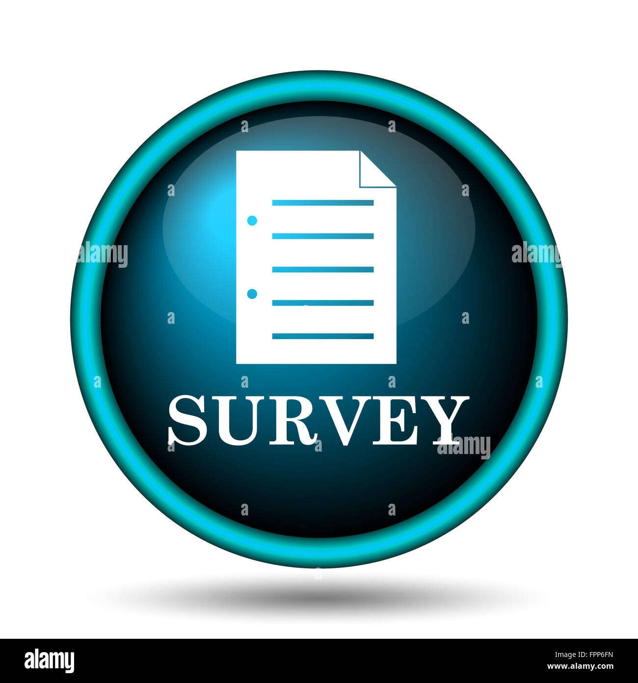 Survey icon. Internet button on white background Stock Photo - Alamy