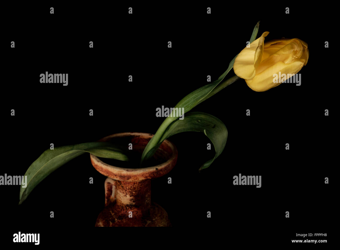 Ceramic still life hi-res stock photography and images - Alamy