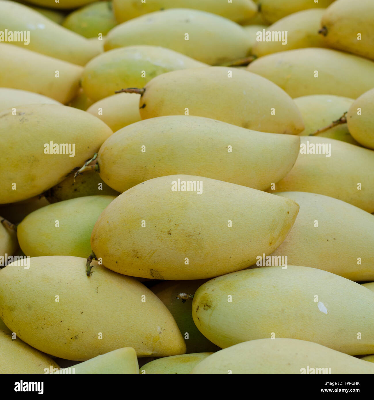 Ripe mango in local market, Thailand Stock Photo - Alamy