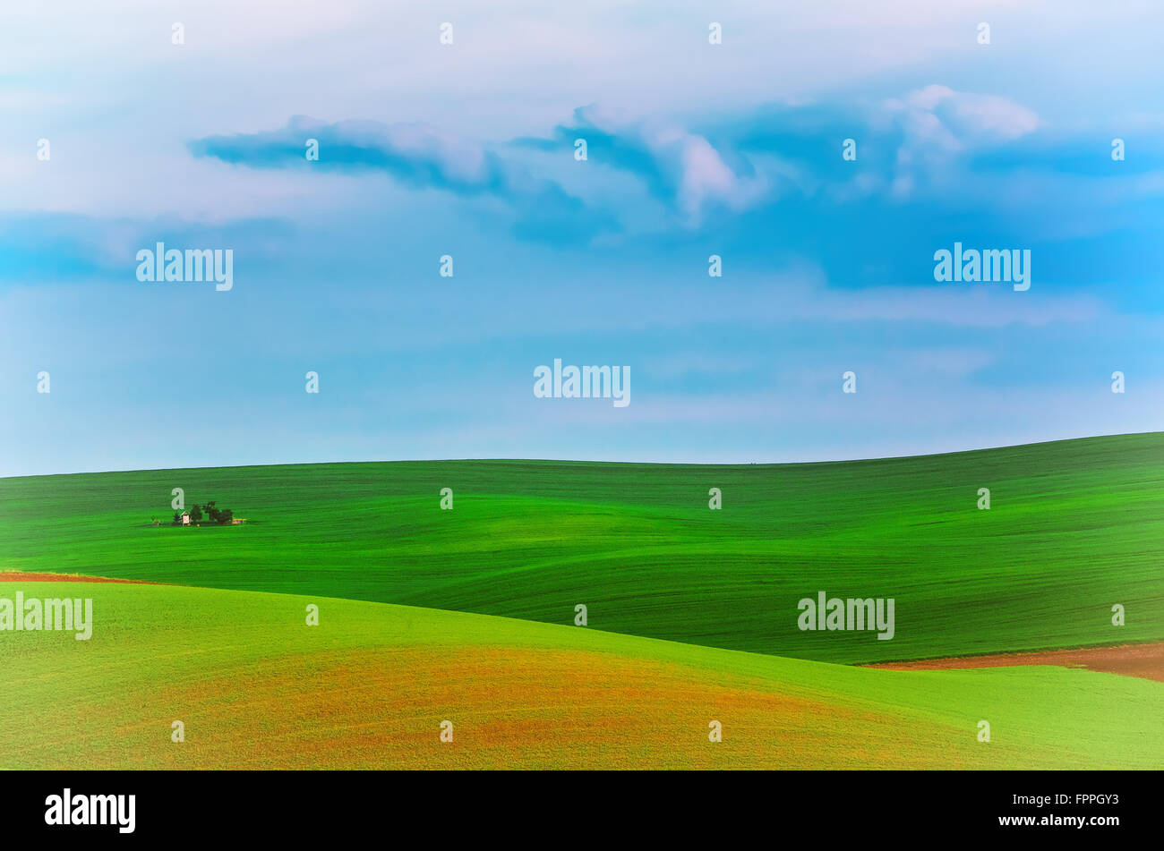 Rural spring landscape Stock Photo - Alamy