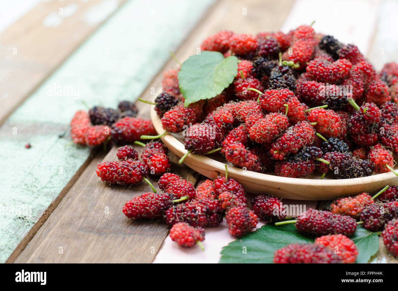 Mulberry fruit hi-res stock photography and images - Alamy