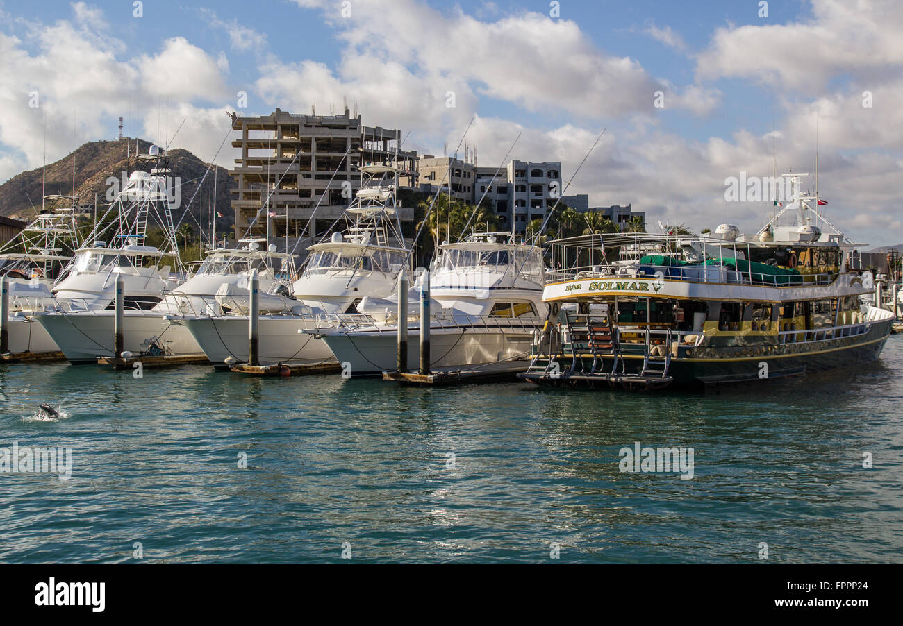 Cabo San Lucas, Mexico-The harbor in Cabo San Lucas on a warm December ...