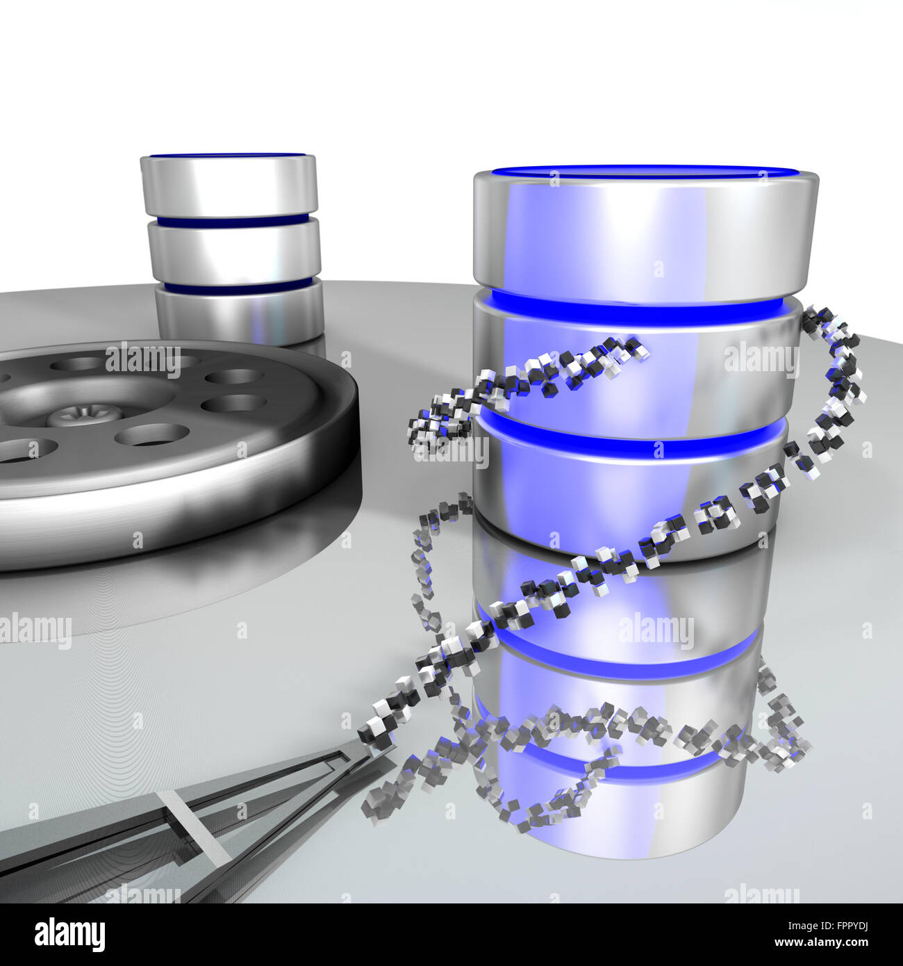 Internal structure of a leaf hi-res stock photography and images - Alamy