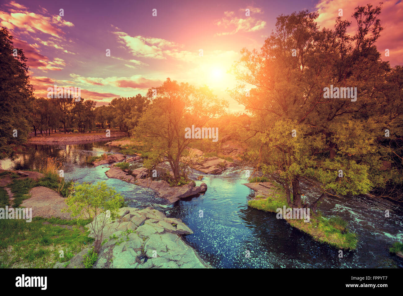 Rocky River bank with trees at sunset light Stock Photo - Alamy