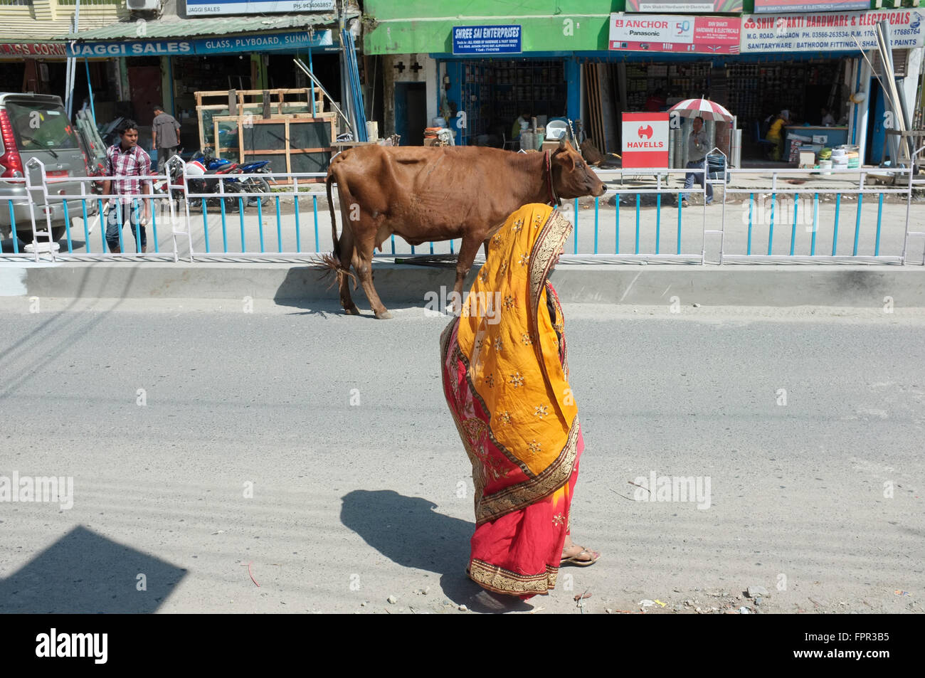 A cow and a woman in traditional dress walking along a street. Jaigaon ...