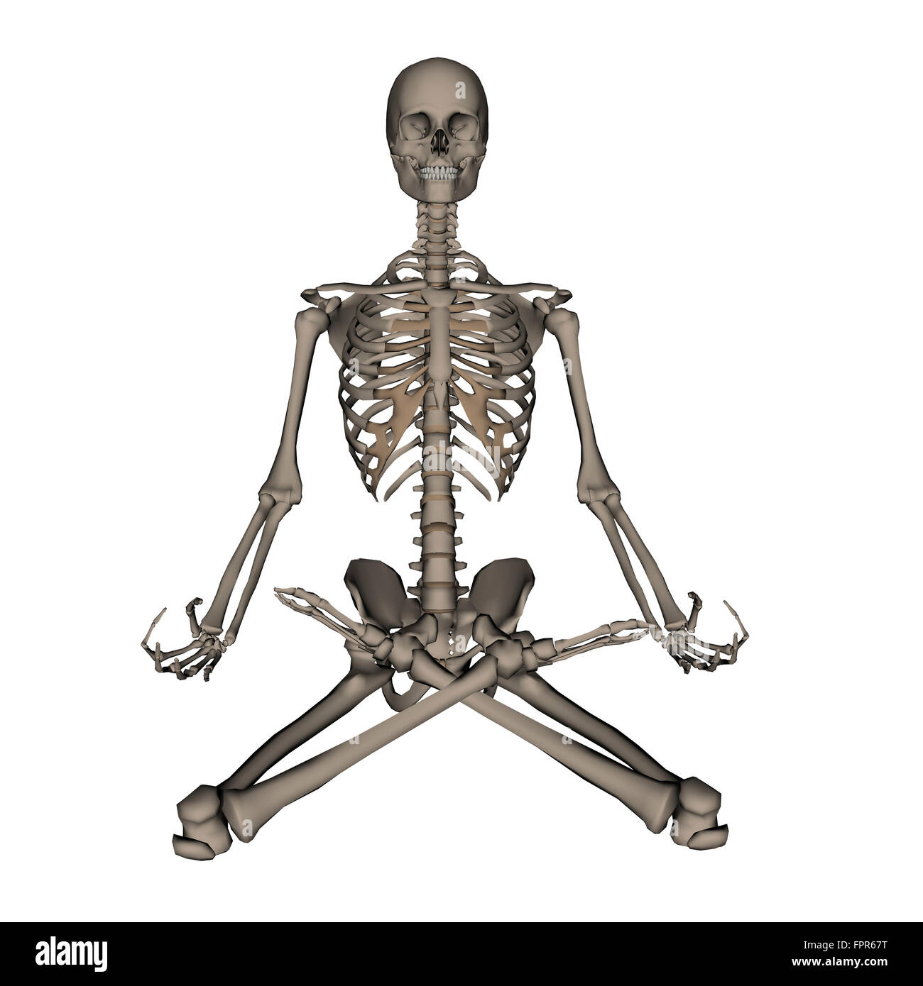 Front view of human skeleton meditation, isolated on white background ...