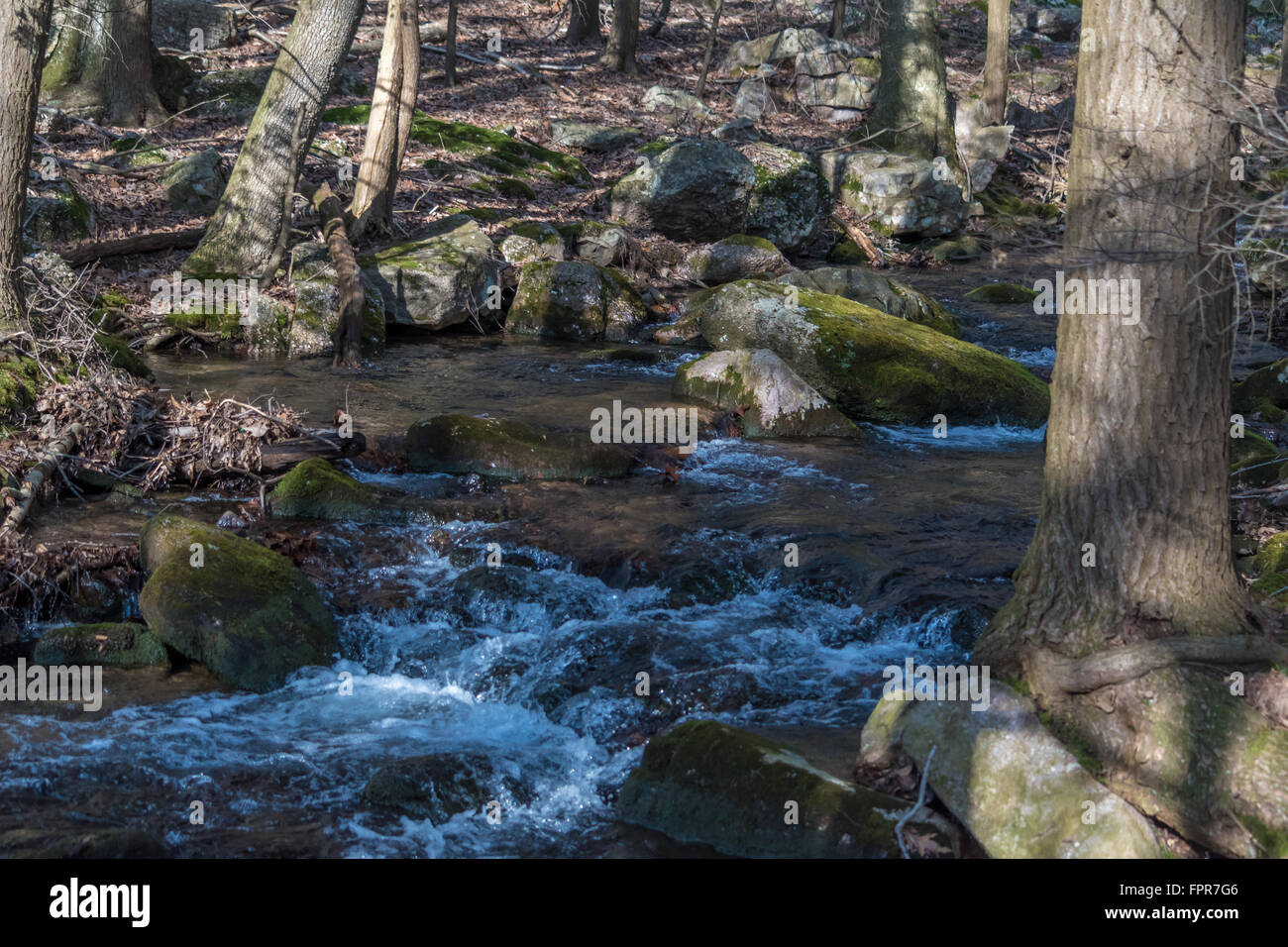 Peaceful mountain stream in a central Pennsylvanian forest Stock Photo ...