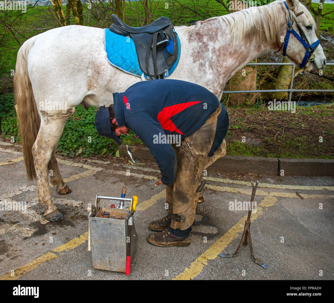 Farrier shoeing Horse Stock Photo - Alamy