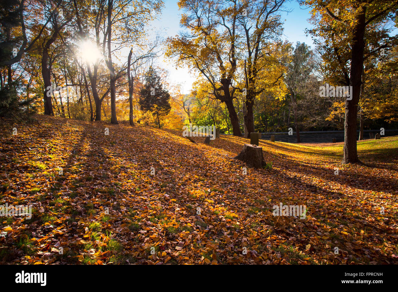 fallen autumn leaves and long shadows with cemetery headstones in the ...