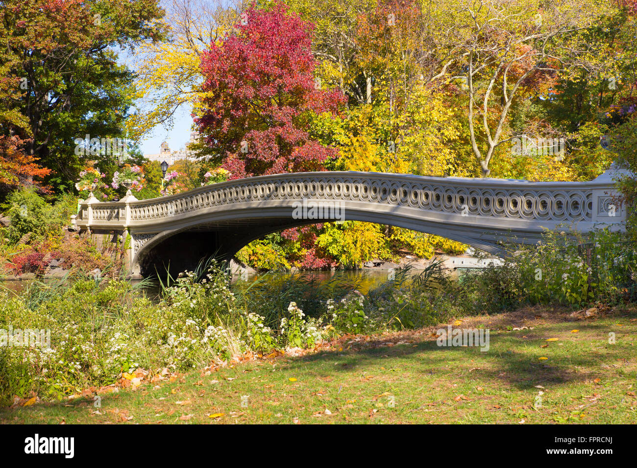 Colorful autumn leaves surround beautiful bow bridge in Central Park ...