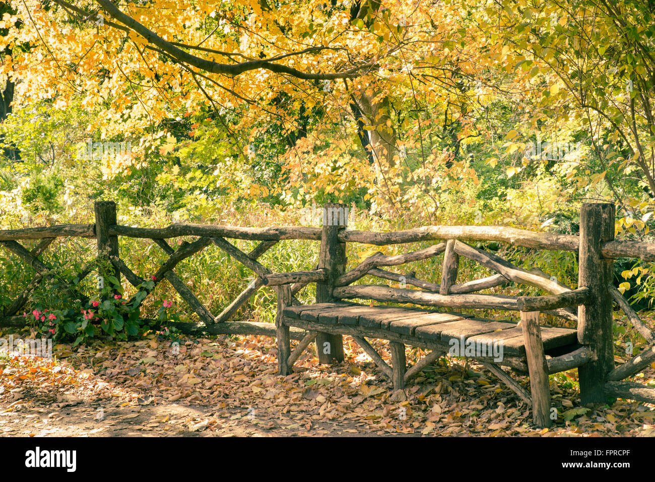 Central park bench hi-res stock photography and images - Alamy