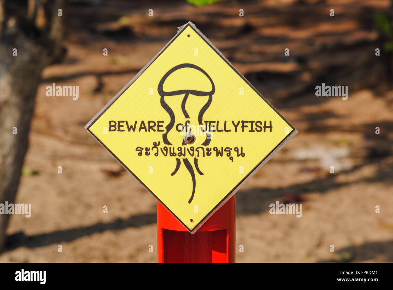 Jellyfish warning sign Thailand Stock Photo - Alamy