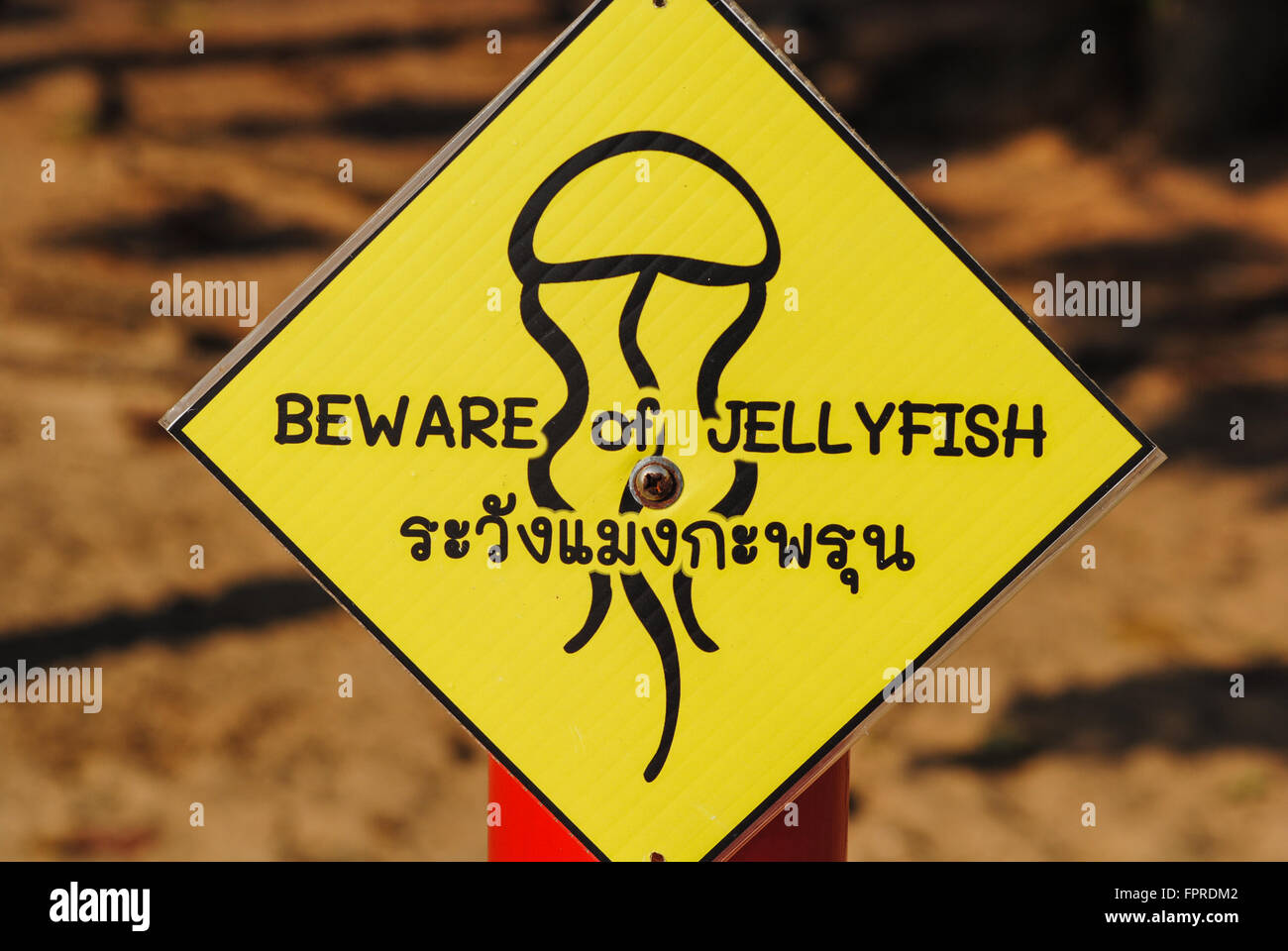 Warning sign thailand hi-res stock photography and images - Alamy