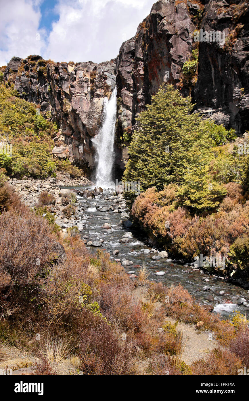 Wanganui national park hi-res stock photography and images - Alamy