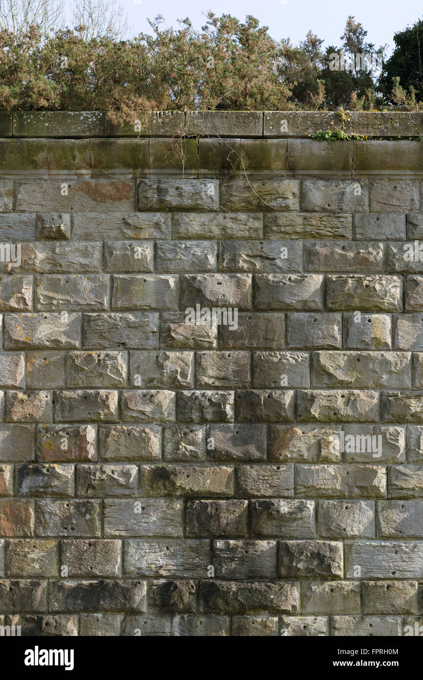 Rusticated ruined stone wall with vegetation on top, from former River ...