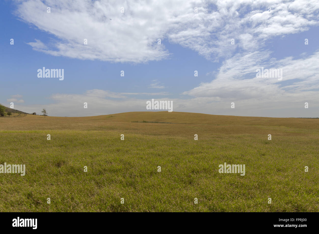 Puerto rico field hi-res stock photography and images - Alamy