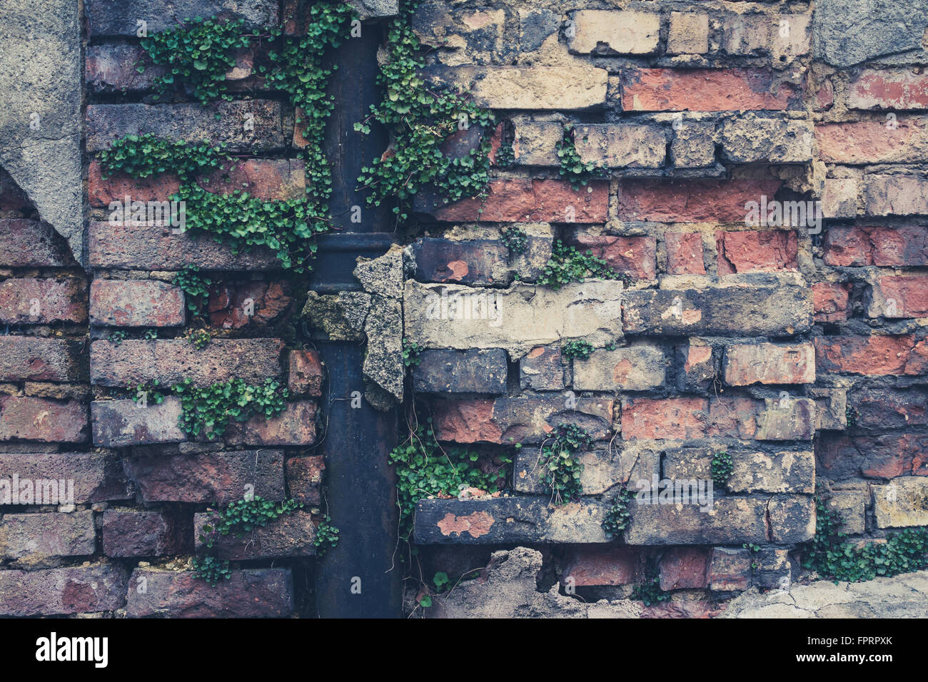 old vintage brick wall closeup with overgrown drip rail Stock Photo - Alamy