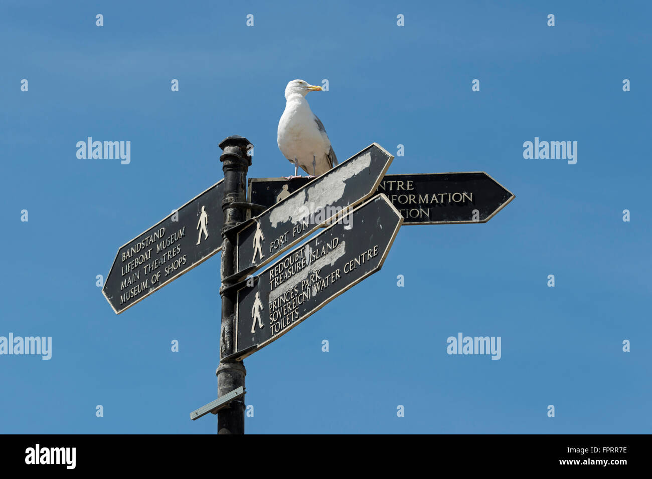 Seagull sign hi-res stock photography and images - Alamy