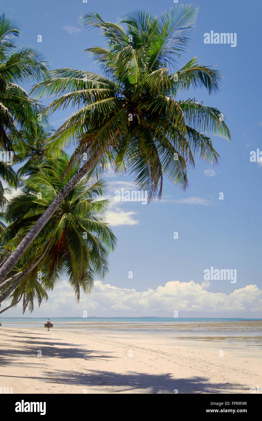 Beach bahia brazil brasil beaches hi-res stock photography and images ...