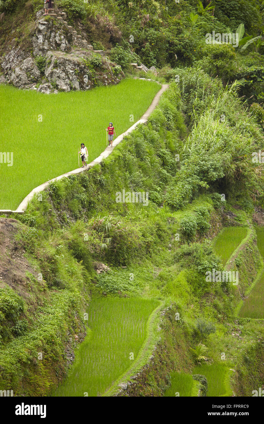 Banaue Rice Terraces near Batad Stock Photo - Alamy