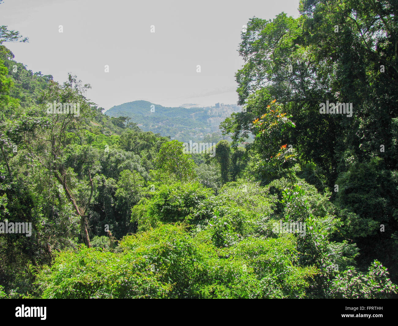 Spectacular tropical landscape in the middle of Brazil Stock Photo - Alamy