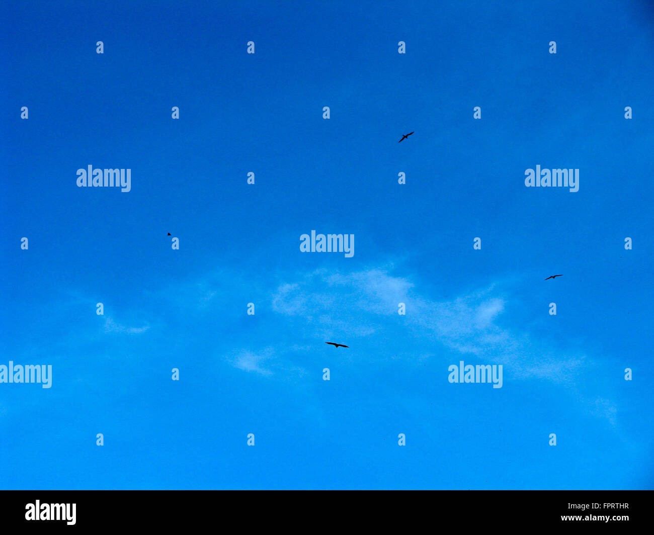 Amazing bright blue sky background Stock Photo - Alamy