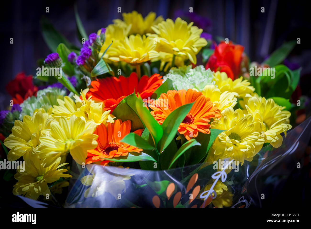 Gerbera flowers red yellow colors hi-res stock photography and images ...