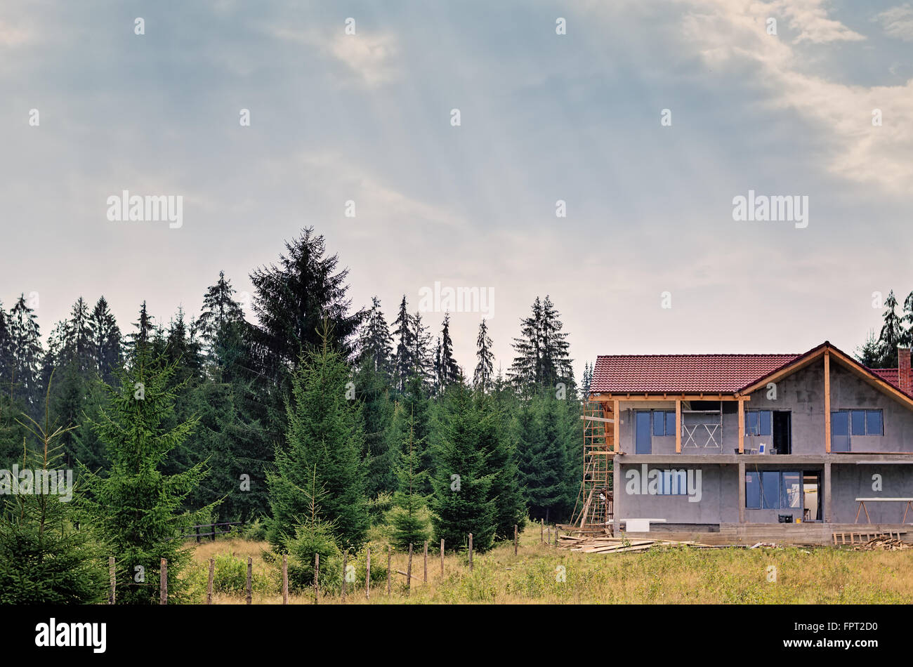 House in coniferous forest hi-res stock photography and images - Alamy