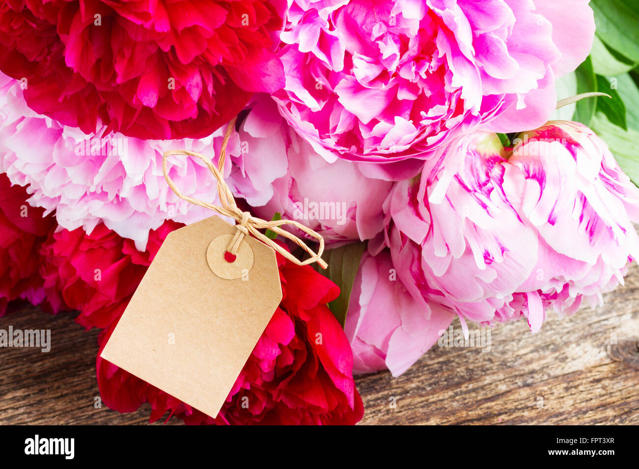 pink and red peonies Stock Photo - Alamy
