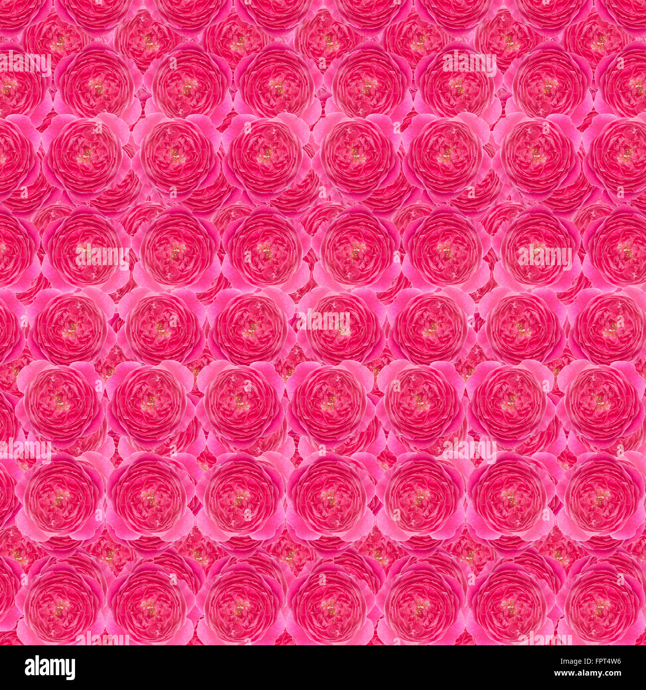 Rose pattern hi-res stock photography and images - Alamy