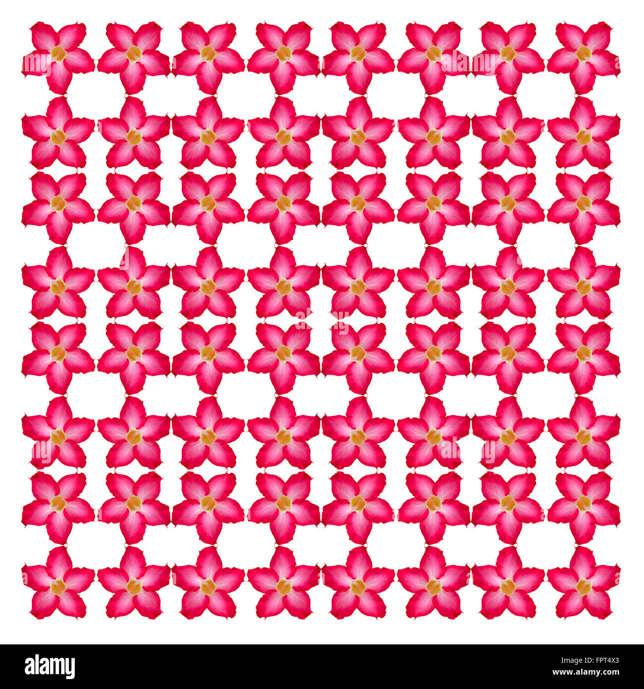 Rose seamless pattern Cut Out Stock Images & Pictures - Alamy