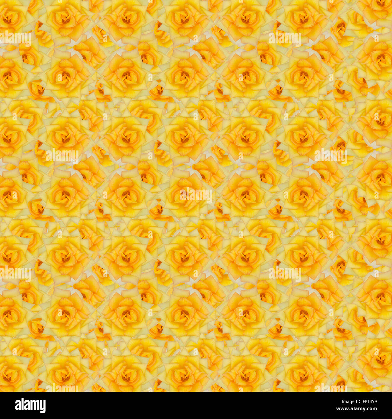 Yellow rose pattern background Stock Photo - Alamy