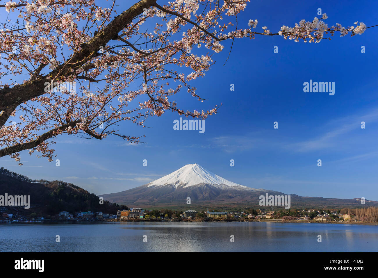 The sacred mountain - Mt. Fuji at Japan, spring Stock Photo - Alamy