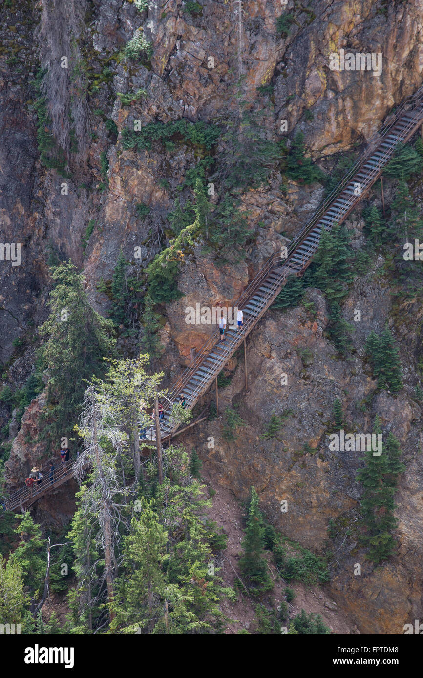 Hikers climbing down stairs deep into Yellowstone Canyon in Yellowstone ...