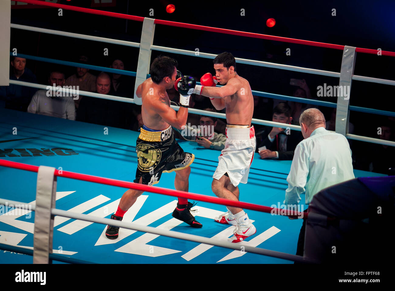 MOSCOW - 18 MARCH, 2016 : Professional boxing show Fight For The Future ...